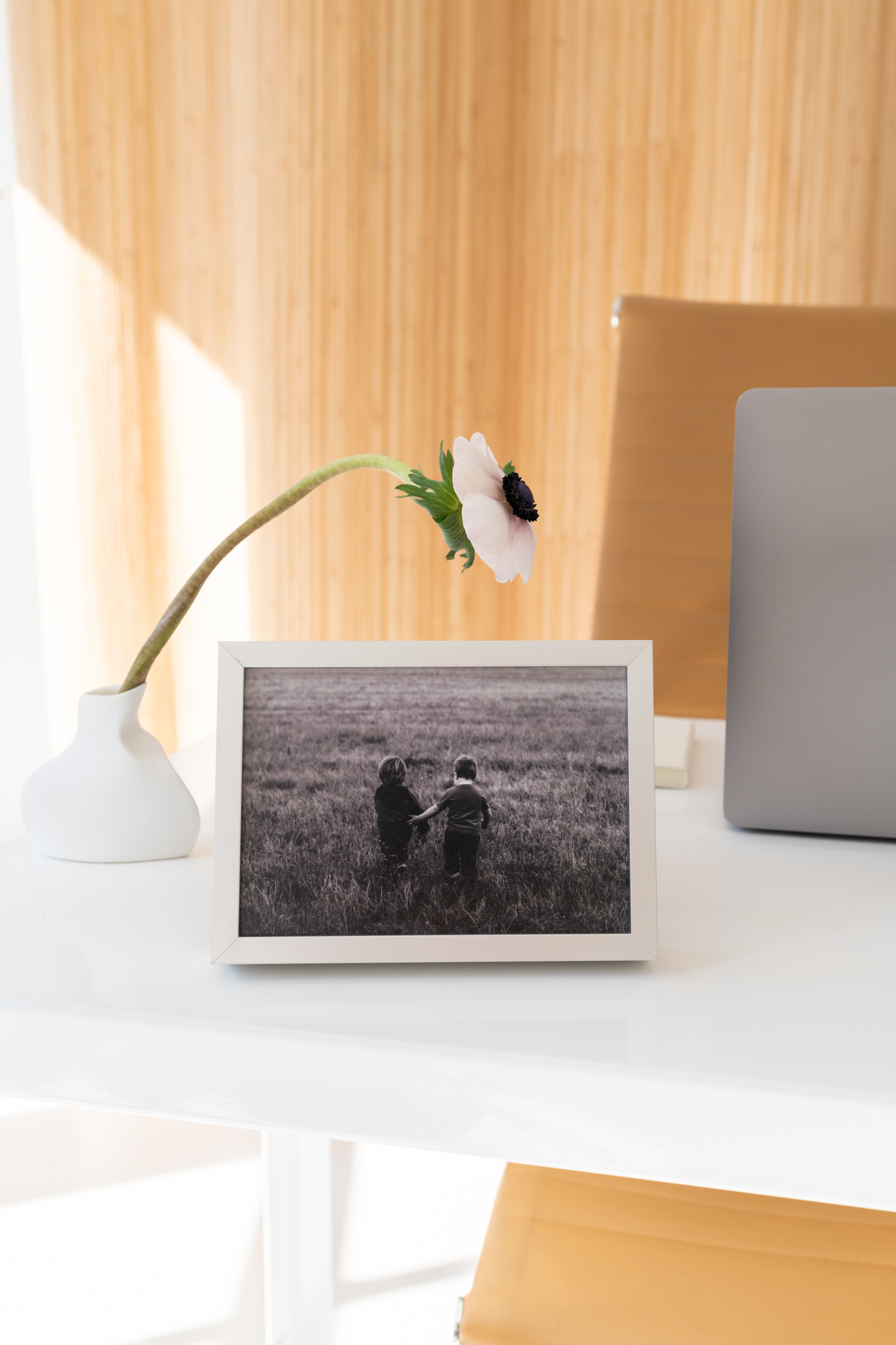 ProDPI | Modern Metal Frames